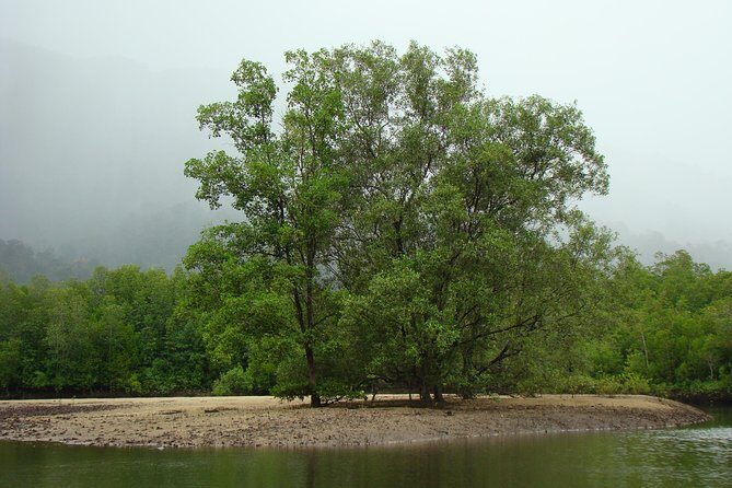Mangrove River Cruise and Snorkeling Tour from Langkawi - The Itinerary: What Highlights Are Included?