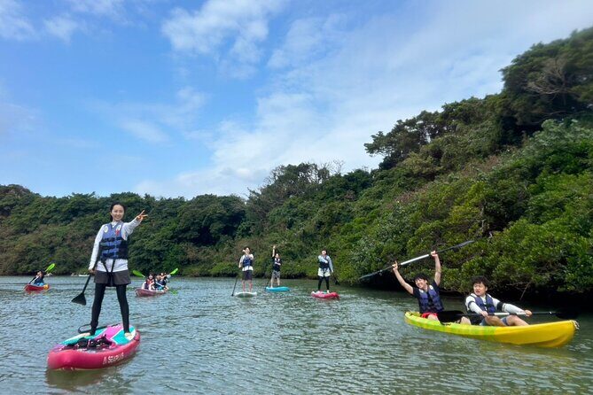Mangrove SUP in Okinawa - Why This Tour Offers Great Value