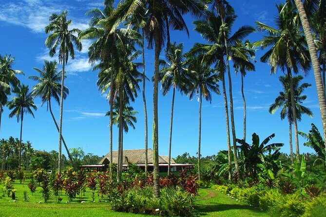 Mangrove to Lagoon Kayak and Paddleboard Adventure - Exploring the Itinerary in Detail