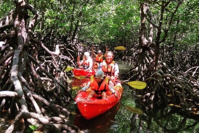 Mangrove Tour by Kayaking in Ko Lanta With Lunch - Discovering Ko Lanta’s Mangrove Kayaking Tour