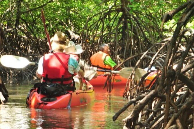Mangrove Tour by Kayaking in Ko Lanta With Lunch - Why This Tour Works Well