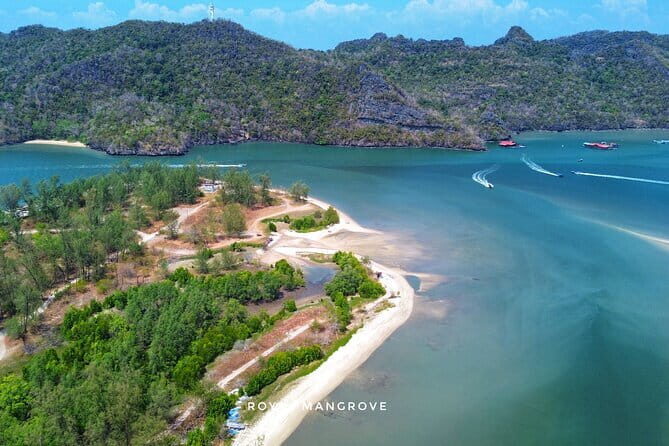 Mangrove Tour with Snorkelling - Final Thoughts on Value and Suitability