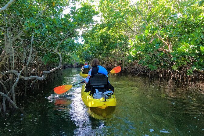 Mangrove Tunnel Kayak Adventure in Key Largo - What Travelers Say About the Guides