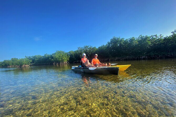Mangrove Tunnel Kayak Adventure in Key Largo - The Equipment and Comfort