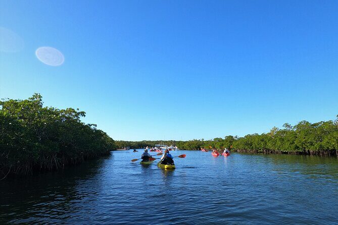 Mangrove Tunnel Kayak Adventure in Key Largo - Price and Value
