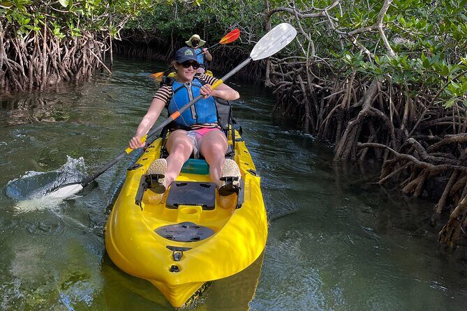 Mangrove Tunnel Kayak Adventure in Key Largo - The Sum Up