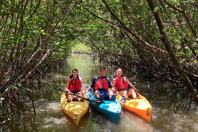 Mangrove Tunnel Kayak Eco Tour - The Itinerary in Detail