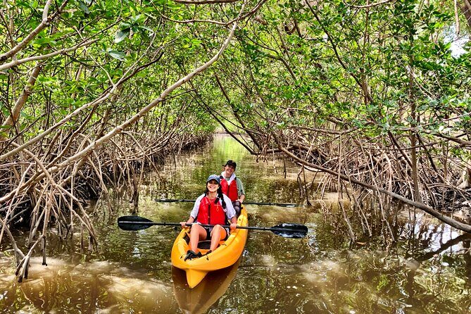 Mangrove Tunnel Kayak Eco Tour - Who Will Love This Tour?