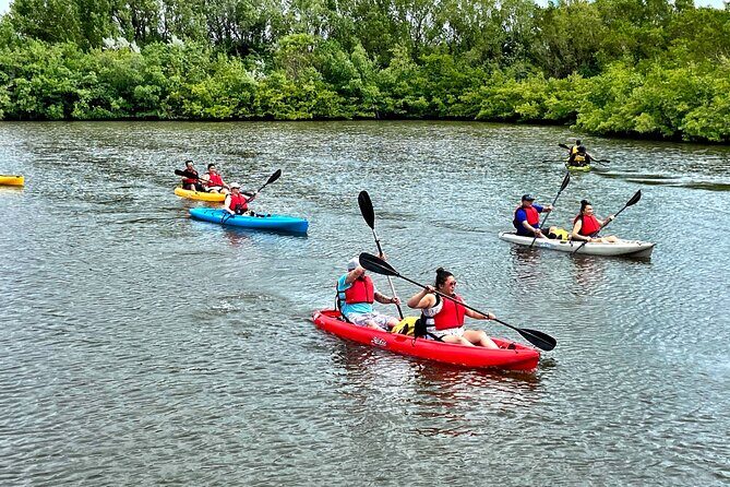 Mangrove Tunnel Kayak Eco Tour - FAQ