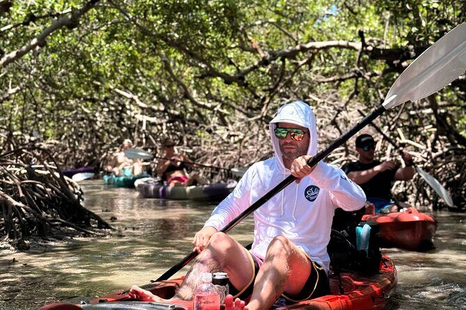 Mangrove Tunnel Kayak Tour To Shell Key - St. Pete, FL - A Detailed Look at the Tour Experience