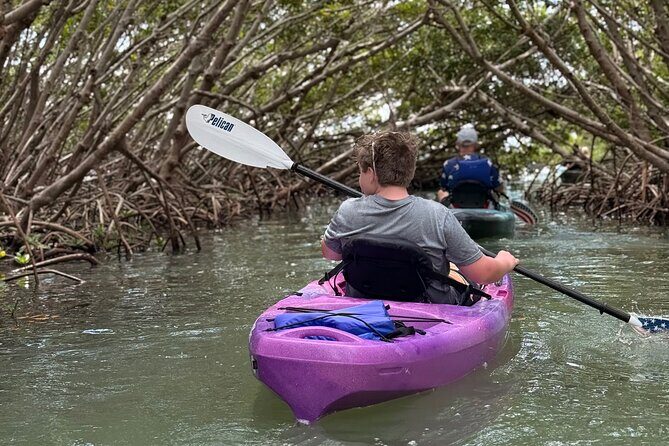 Mangrove Tunnel Kayak Tour To Shell Key - St. Pete, FL - FAQs