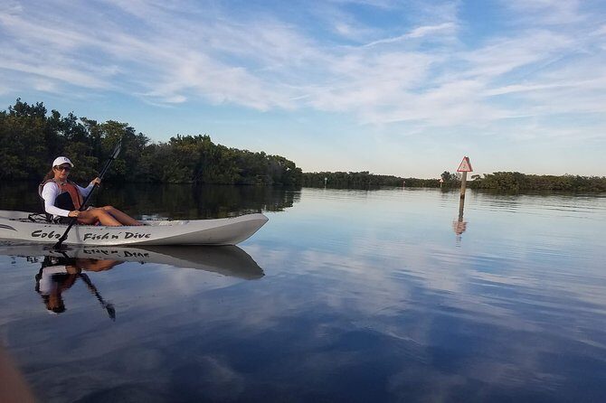 Mangrove Tunnels, Dolphins, Manatee Tour #1 Rated in Cocoa Beach - Who Would Enjoy This Tour?