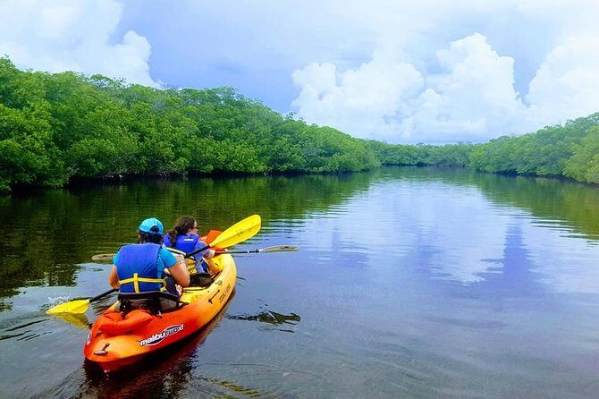 Mangroves and Manatees - Guided Kayak Eco Tour - An Introduction to the Kayak into Florida’s Mangroves