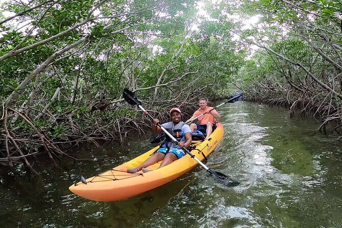 Mangroves and Manatees - Guided Kayak Eco Tour - Final Thoughts