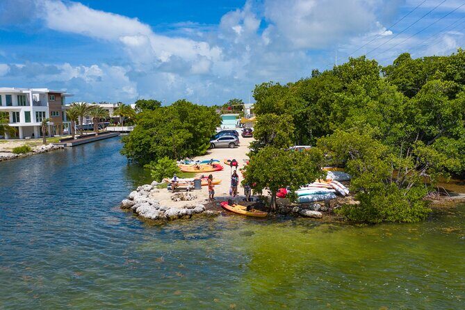 Mangroves and Manatees - Guided Kayak Eco Tour - FAQ