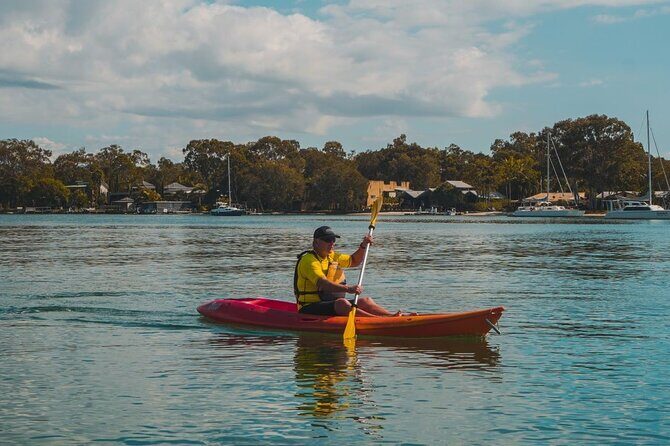 Mangroves and Mansions Guided Kayak Tour on the Noosa River - FAQs