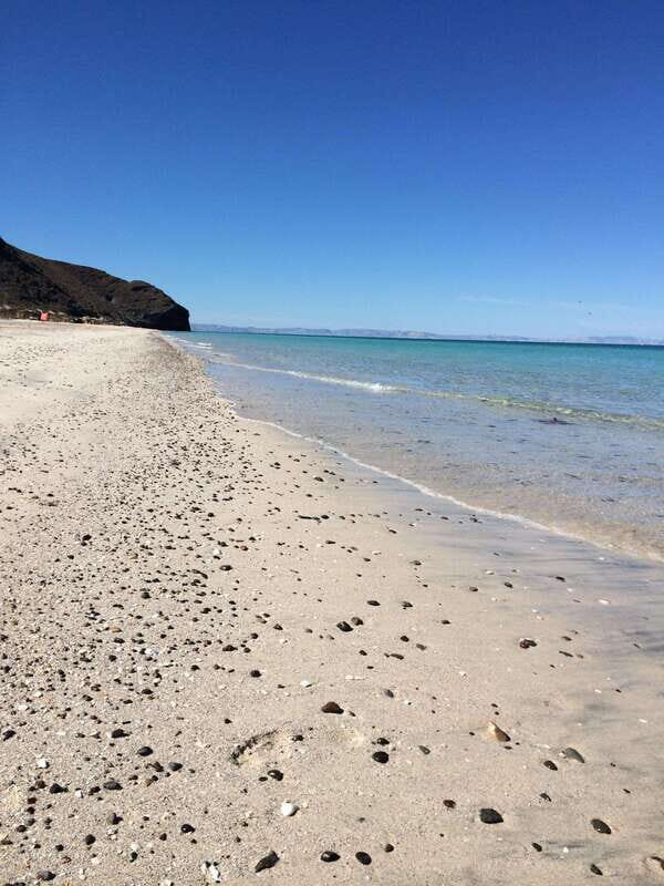 Mangroves & Beaches: Hiking Tour of Balandra, La Paz - An In-Depth Look at the Tour