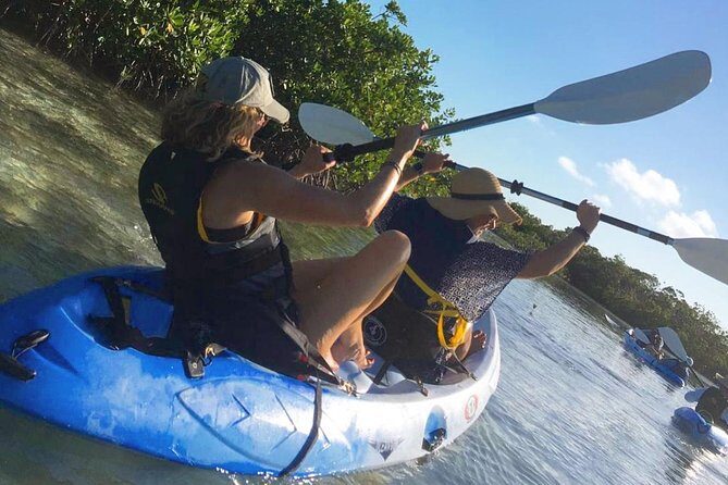 Mangroves Kayak Tour - An In-Depth Look at the Mangroves Kayak Tour