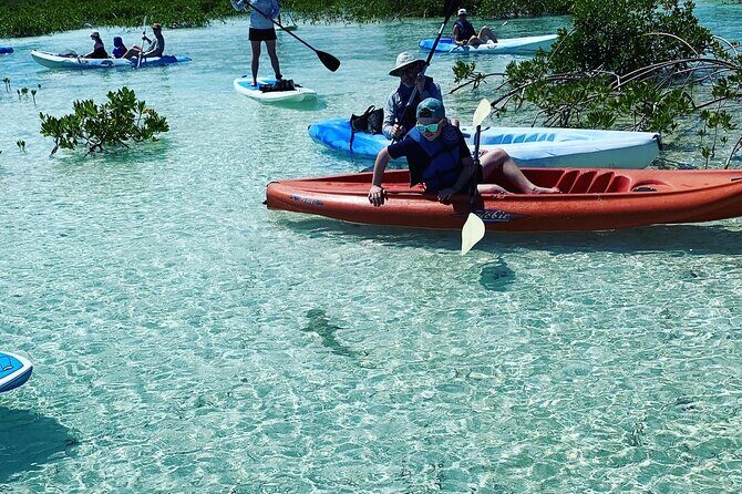 Mangroves Kayak Tour - FAQ