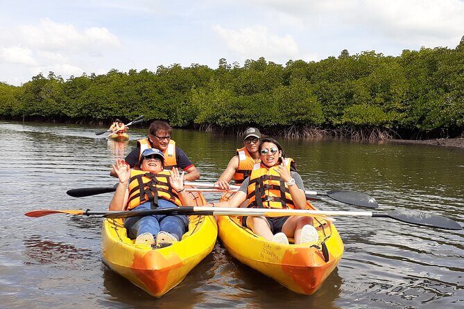 Mangroves Kayaking At Havelock - Key Points