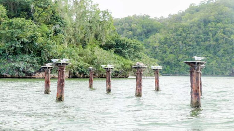 Mangroves, Mogotes and Mountains from Punta Cana - Key Points