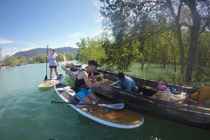 Mangroves SUP Tour Phuket - Exploring the Details of the Mangroves SUP Tour
