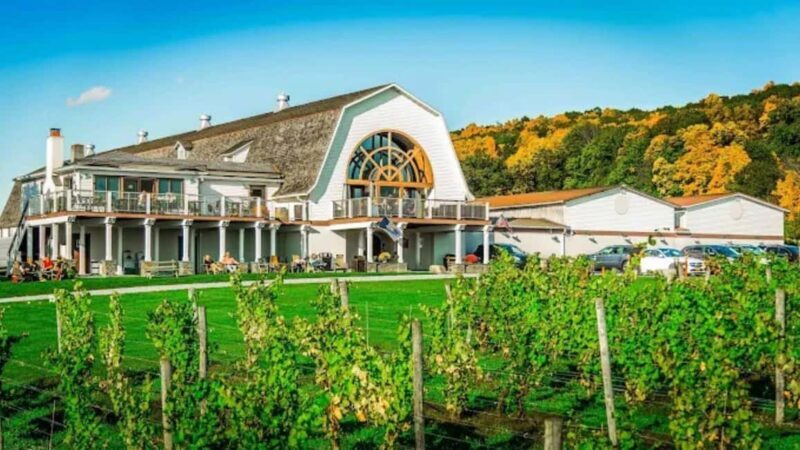 Manhattan: Millbrook Vineyards & Winery Private Tour - An In-Depth Look at the Tour Experience