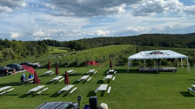 Manhattan: Millbrook Vineyards & Winery Private Tour - Who Will Love This Tour?