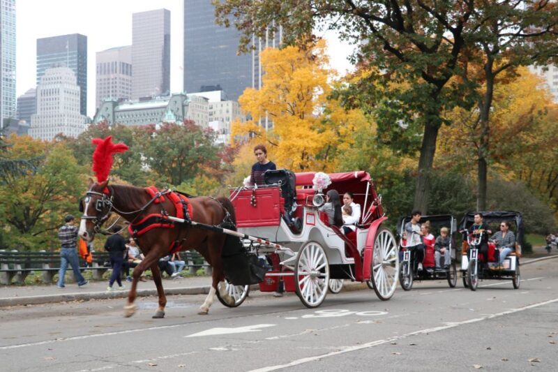 Manhattan: VIP Private Horse Carriage Ride in Central Park - The Experience: An In-Depth Look