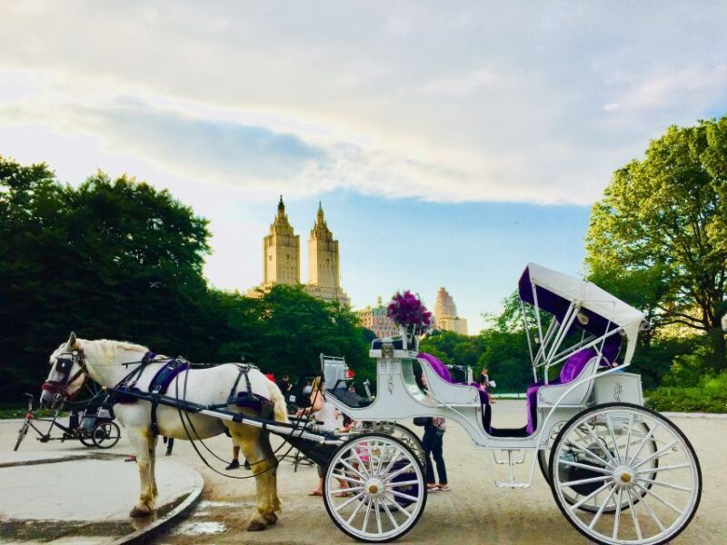 Manhattan: VIP Private Horse Carriage Ride in Central Park - Practical Tips for Your Ride