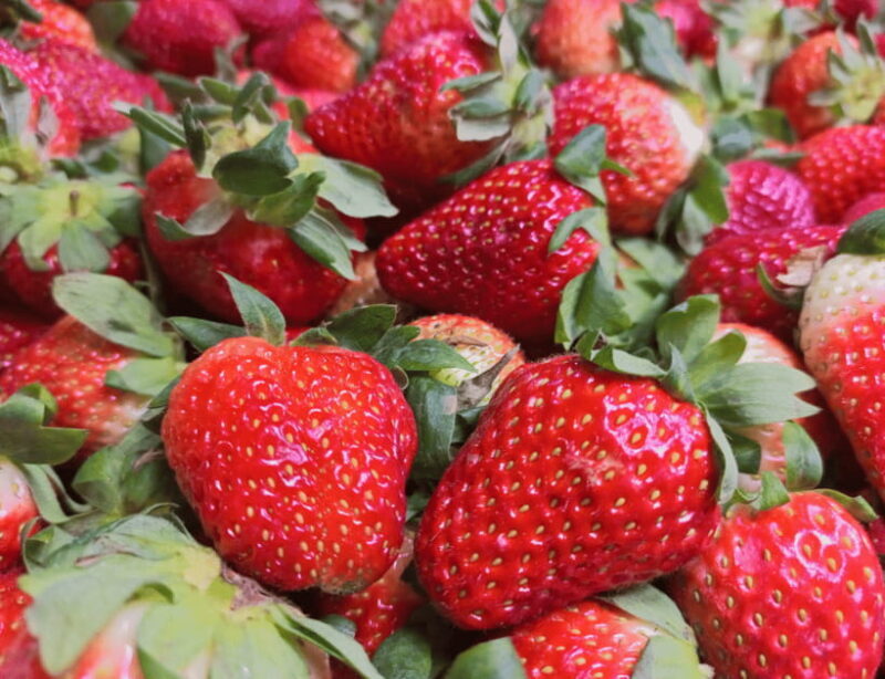 Manila: 3-Day Sagada, Baguio, & Banaue Rice Terraces Tour - Who Will Benefit Most?