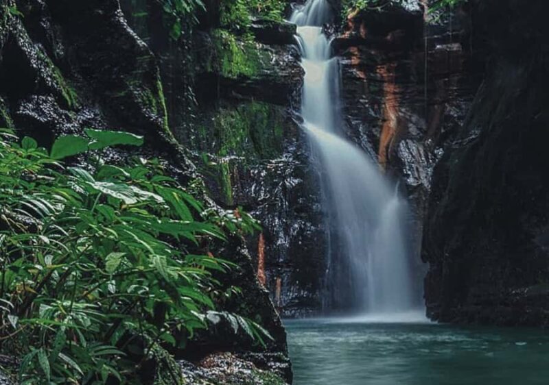 Manila: Hidden Valley Springs Day Tour with Lunch - The Itinerary in Detail