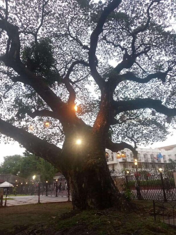 Manila: Intramuros Tour ( Dark) - Key Points