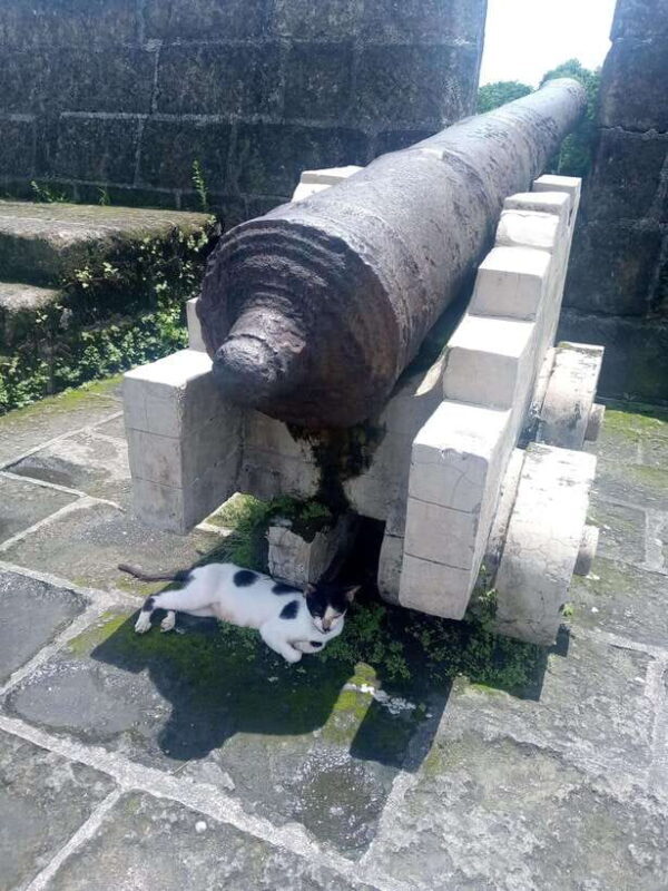 Manila: Intramuros Tour ( Dark) - An In-Depth Look at the Intramuros Dark Tour