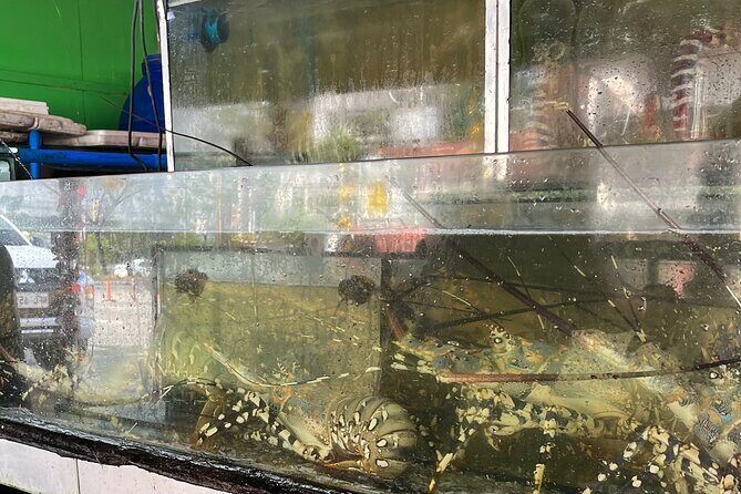 Manila Seafood Experience Market to Table - The Overall Value and Who Should Consider This Tour