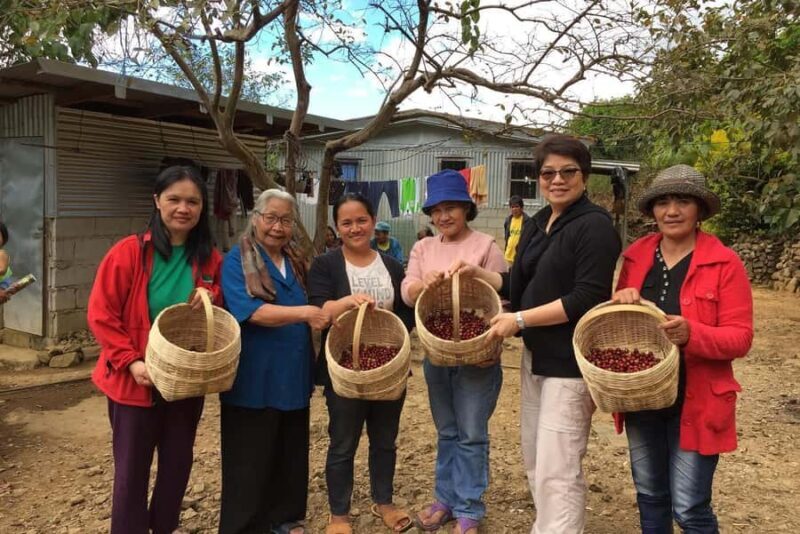 MANILA:Coffee Farm Tour with Coffee bean picking - Analyzing Value and Fit