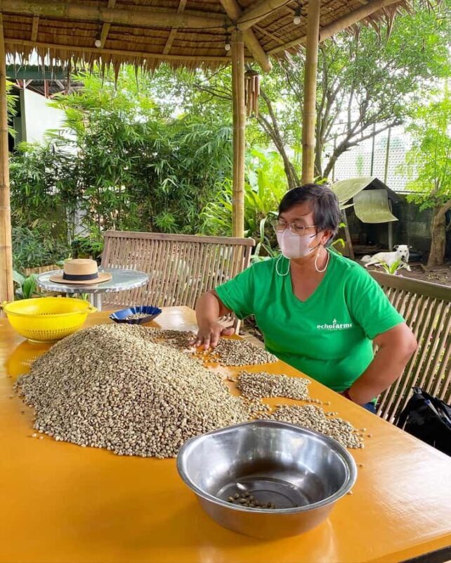 MANILA:Coffee Farm Tour with Coffee bean picking - Summary