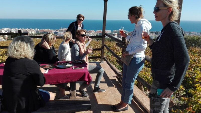Manilva: Nilva Vineyard, Wine Tasting & Tapas Guided Tour - An In-depth Look at the Tour Experience