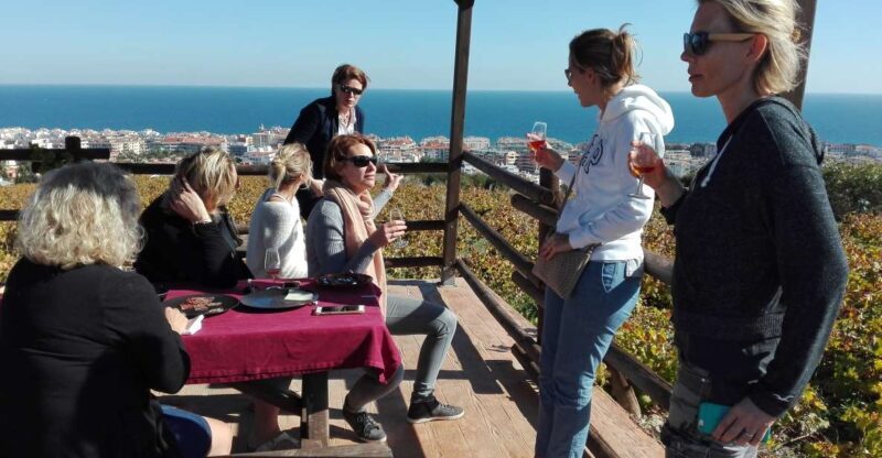 Manilva: Nilva Vineyard, Wine Tasting & Tapas Guided Tour - Final Thoughts