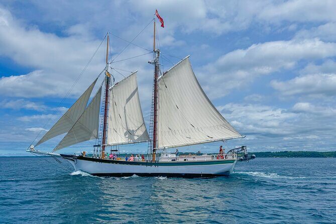 Manitou Fall Flavor Afternoon Sail Experience - Who Will Love This Experience?