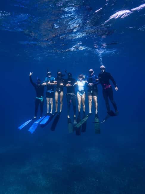Manly: Beginner Freediving: Breath-Hold & Ocean Exploration - Key Points