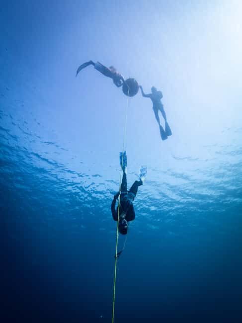 Manly: Beginner Freediving: Breath-Hold & Ocean Exploration - Location and Meeting Point: Easy and Accessible