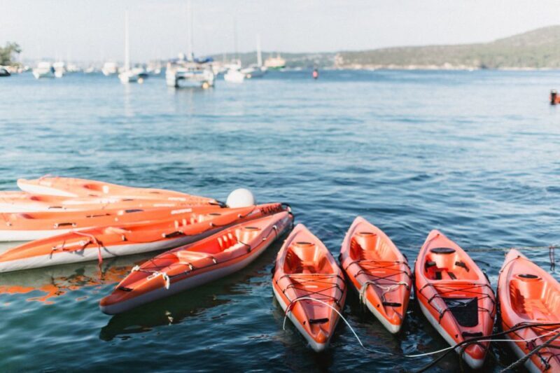 Manly: Mini Kayak Tour on Sydney's North Harbour - Why This Tour Works