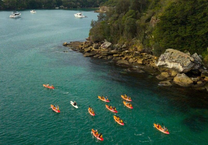 Manly: Mini Kayak Tour on Sydney's North Harbour - Frequently Asked Questions