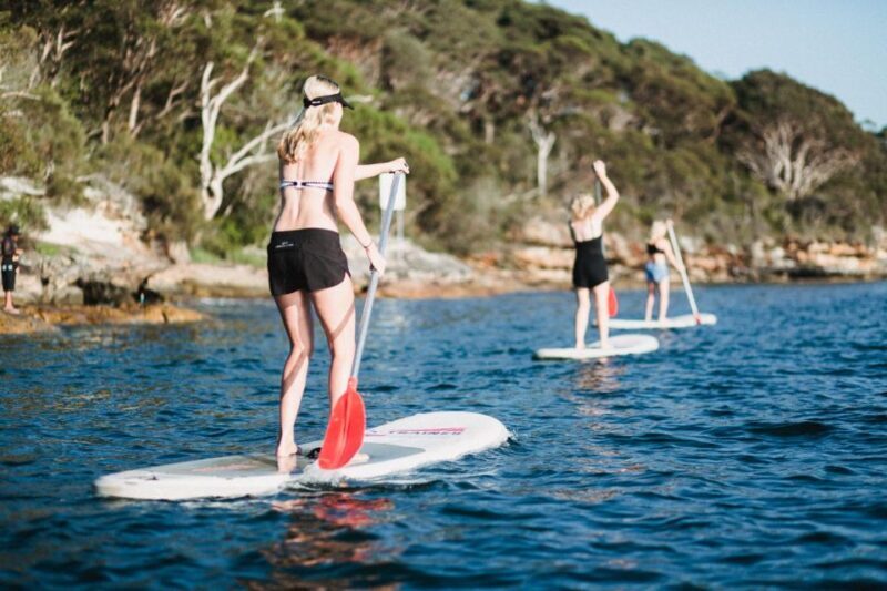 Manly Stand Up Paddle Board Hire - Who Will Enjoy This Experience?