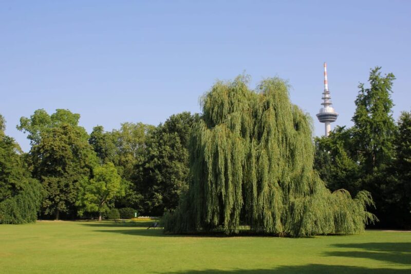 Mannheim, guided park tour: Luisenpark - A Deep Dive into the Luisenpark Experience