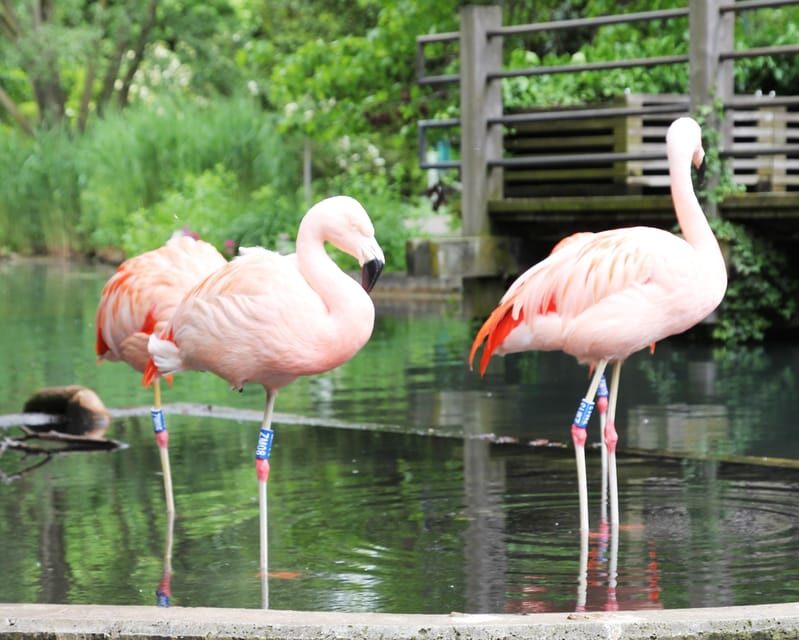 Mannheim, guided park tour: Luisenpark - Who Should Consider This Tour?