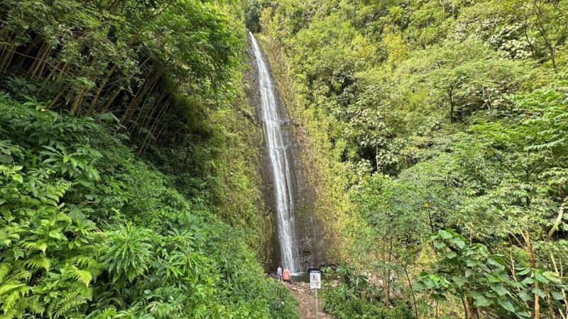 Manoa Falls eBike to Hike - What Makes This Tour Stand Out?