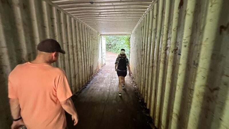 Manoa Falls eBike to Hike - How to Decide if This Tour Is for You