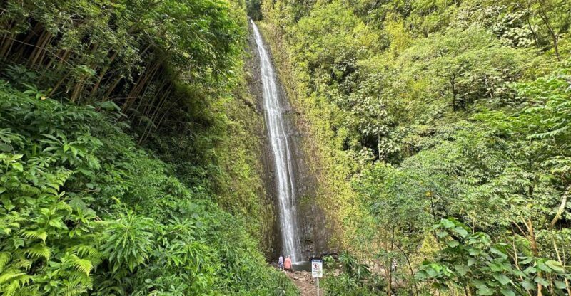 Manoa Falls eBike to Hike - Frequently Asked Questions
